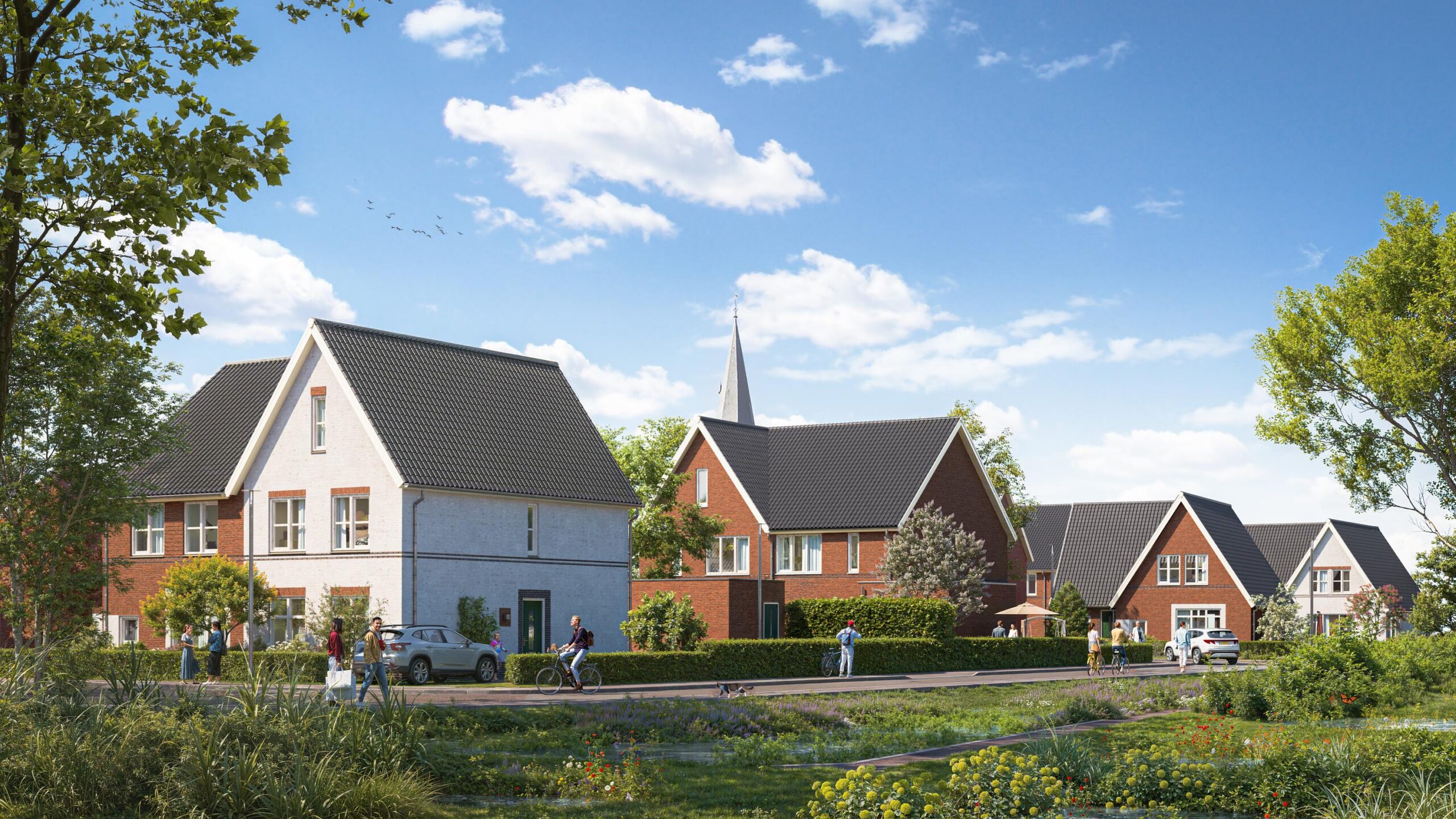 Baak – De Buitentuin van Baak - Thoma Post